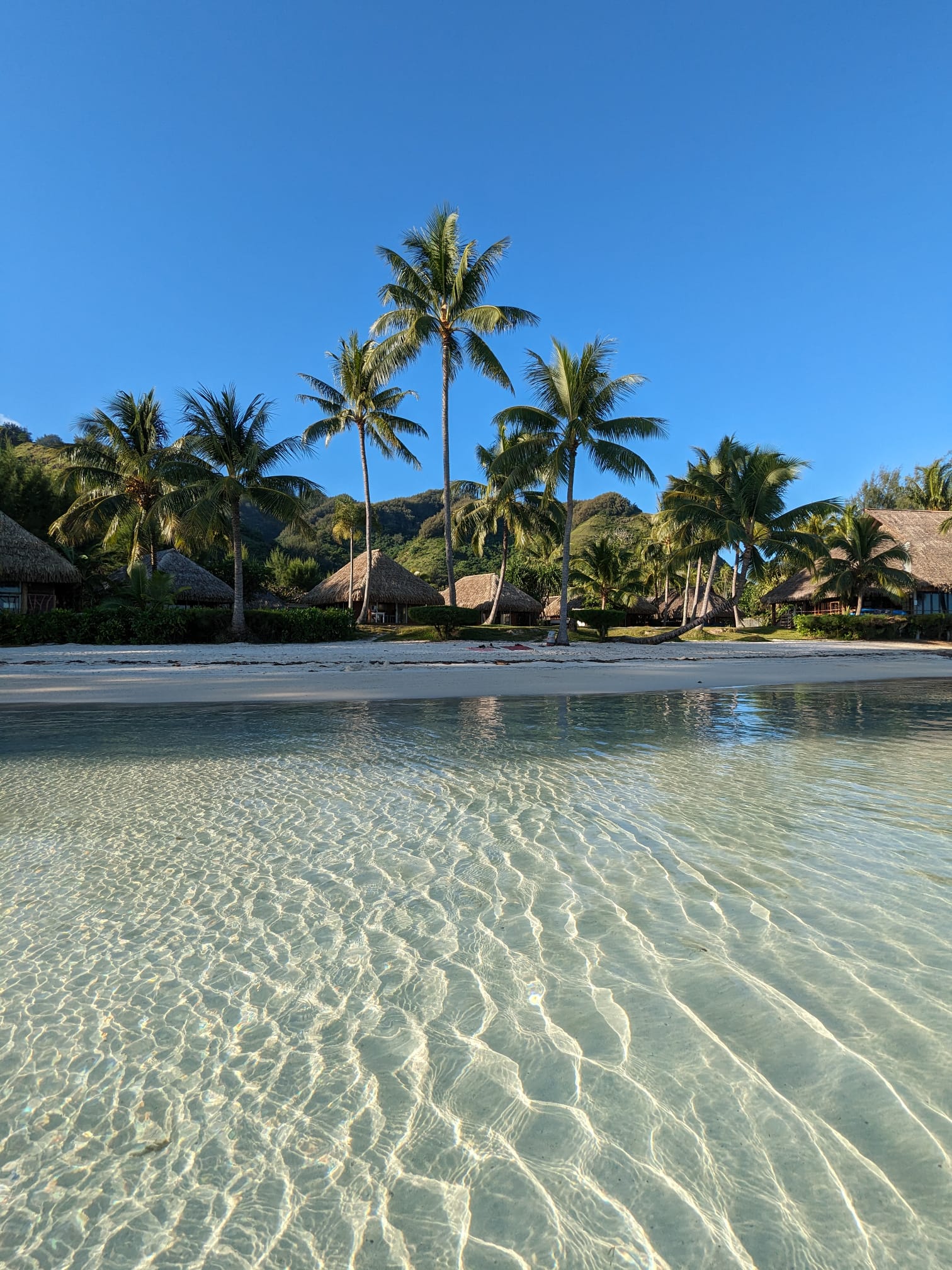 Quoi faire à Moorea ? Conseils & activités